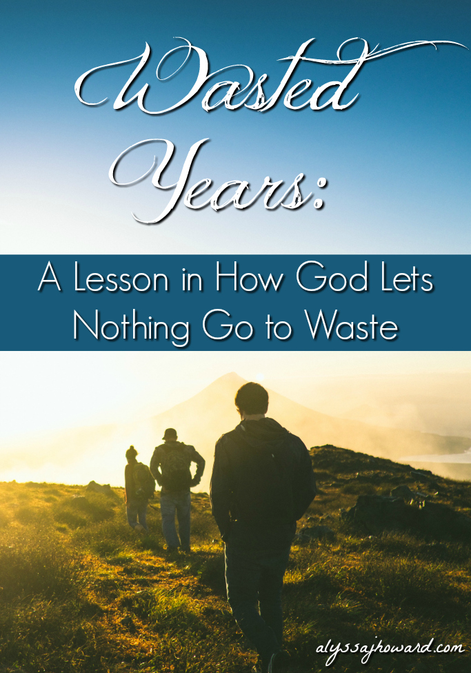 Wasted Years: A Lesson in How God Lets Nothing Go to Waste ...