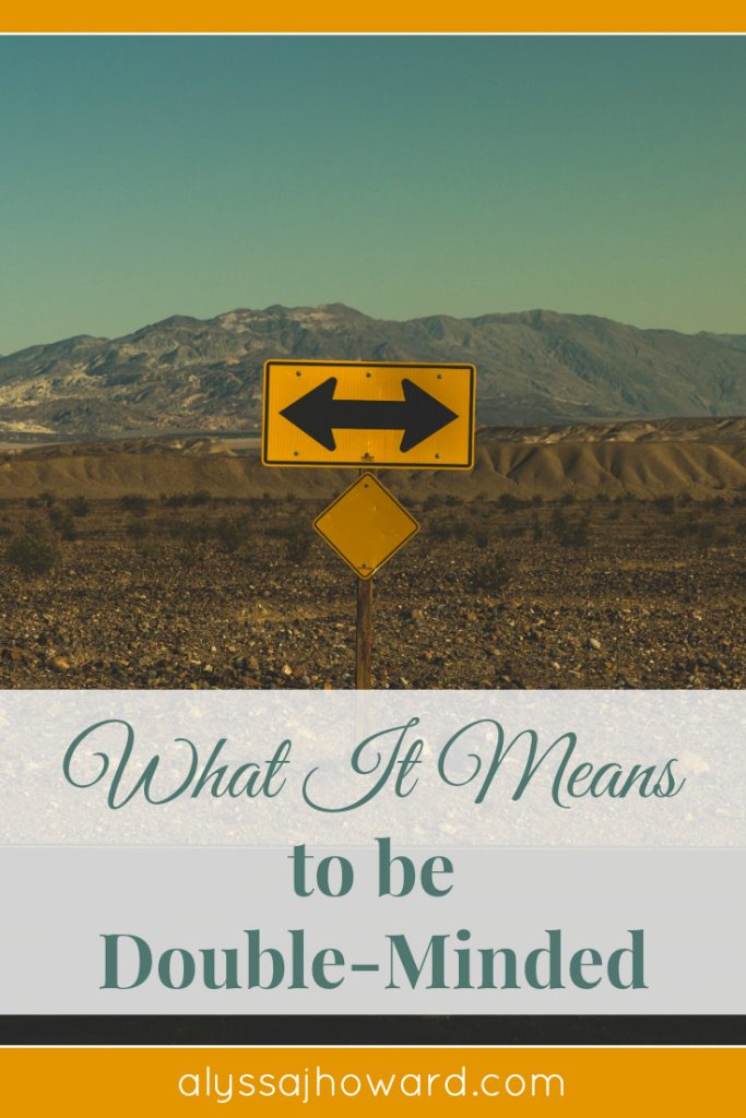 What It Means to Be Double-Minded