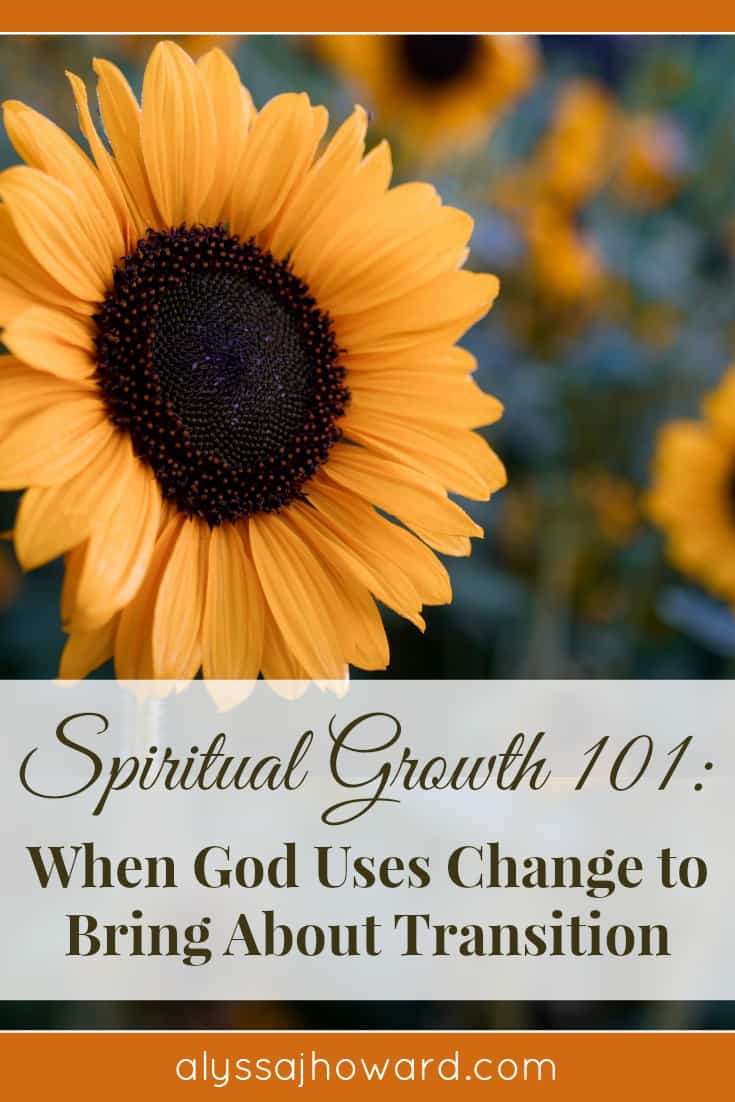 Spiritual Growth 101: When God Uses Change to Bring About Transition
