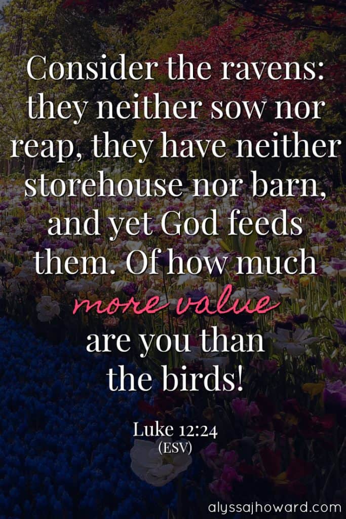 3 Ways the Love of God Provides for Us - Alyssa J Howard